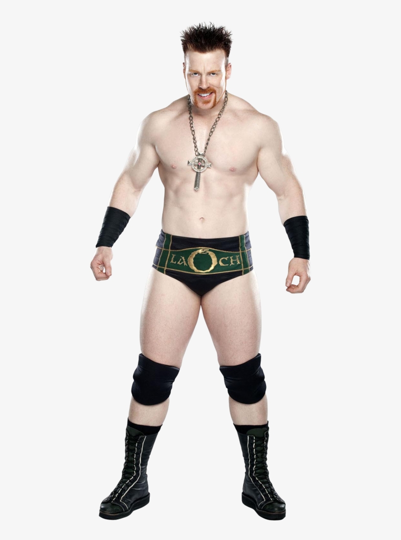 Sheamus [png] - Laoch Sheamus - 452x1024 PNG Download - PNGkit