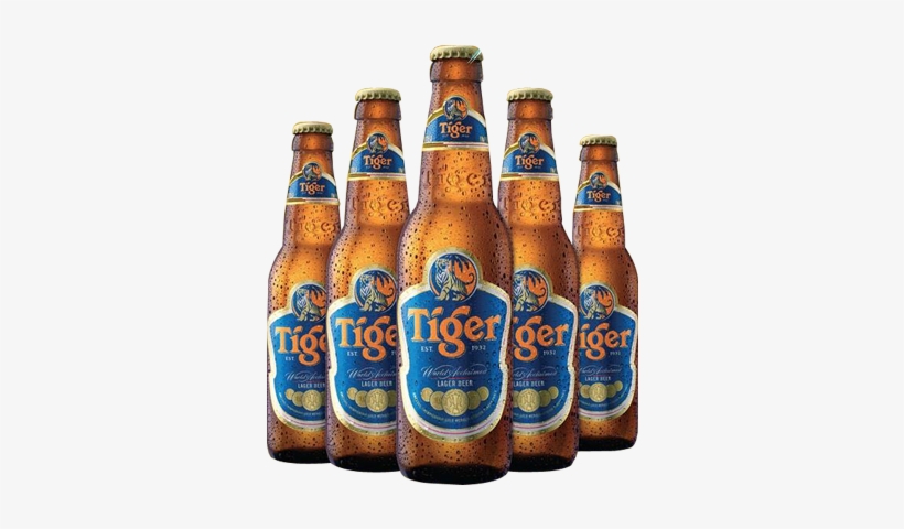 Tiger Beer Bucket Png - Tiger Beer 24x 330ml Bottles - 363x406 PNG ...