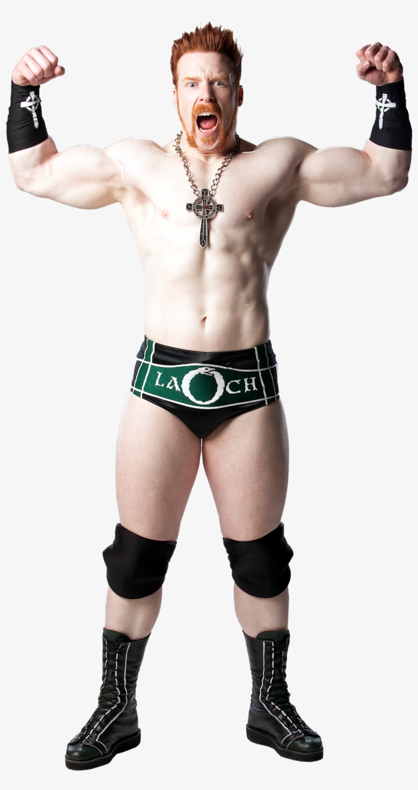 Sheamus Studio Photo2 - Wwe Sheamus Deviantart Full Png - 2000x3000 PNG Download - PNGkit