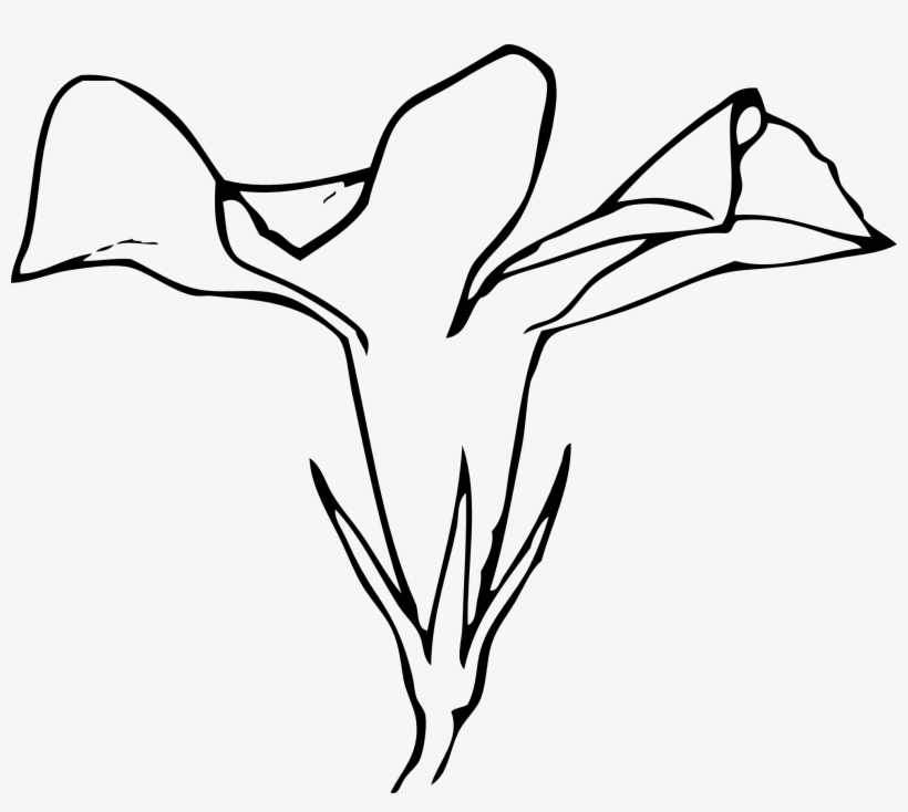 Side View Flower Drawing - 800x678 PNG Download - PNGkit