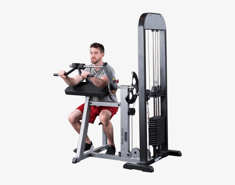 Biceps And Triceps Machines - 600x600 PNG Download - PNGkit