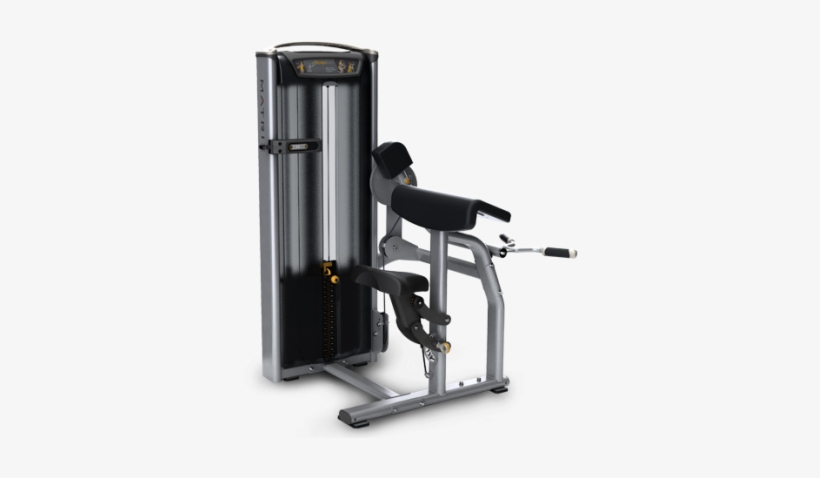 Matrix Bicep Curl Vs-s40 - Matrix Bicep Curl Machine - 600x409 PNG ...