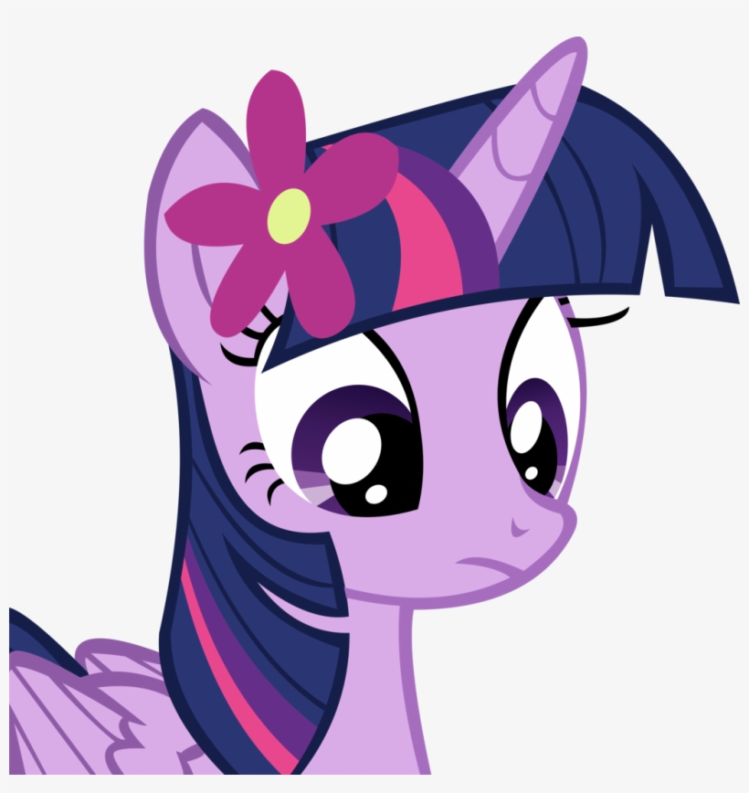 Twilight Sparkle Vector - Twilight Sparkle With Flower - 1024x1035 PNG ...