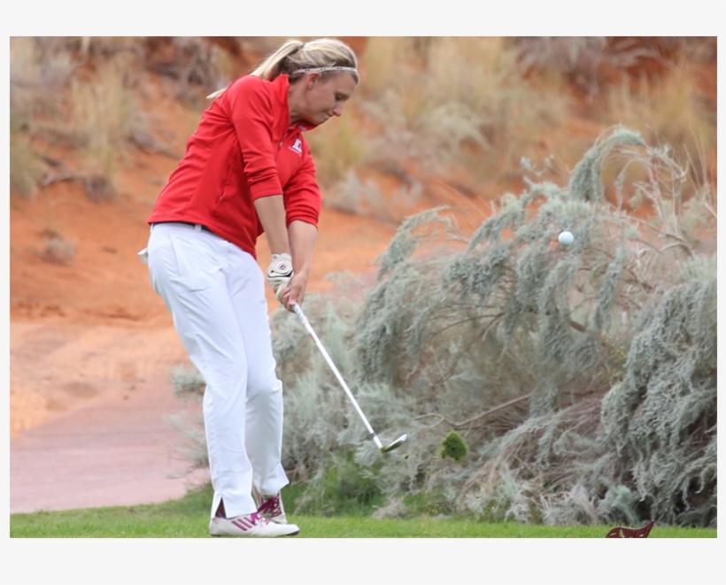 Dixie State University - 1040x580 PNG Download - PNGkit