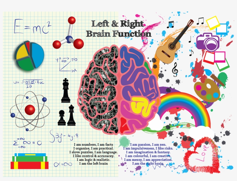Download Transparent Left Brain Right Brain Infographic - PNGkit
