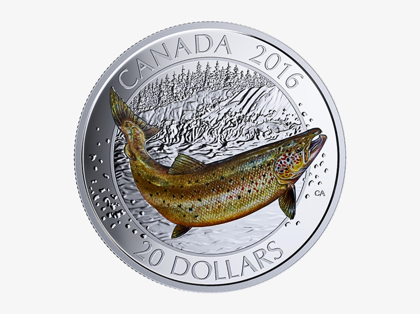 Download Transparent Pure Silver Coloured Coin Big Fish Series - Salmon ...