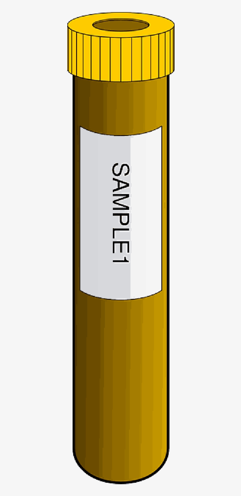 Illustration - Biology - 800x1600 PNG Download - PNGkit