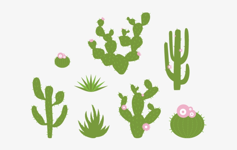 Desert Plant Wall Stickers - Wall Decal - 660x500 PNG Download - PNGkit