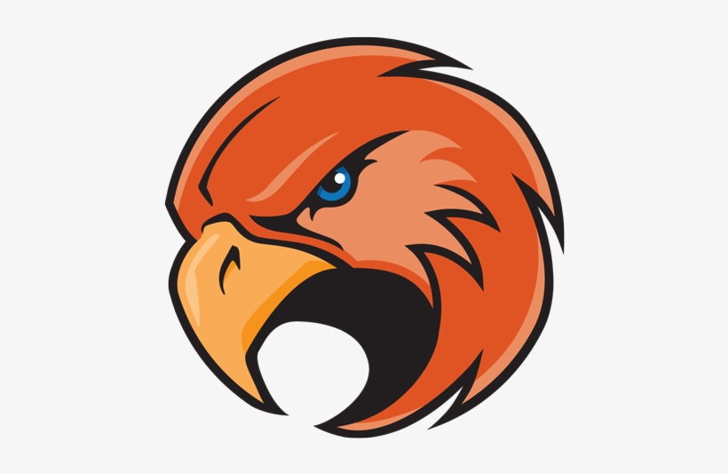 Download Transparent Falcon Logo Png - Falcons Logo Design - PNGkit