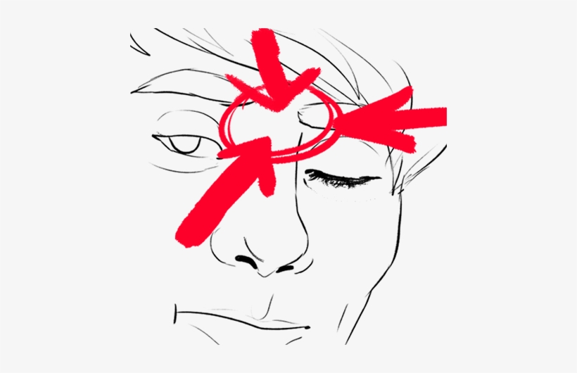 Anatomy Lessons With Dan And Phil - Dan And Phil - 450x450 PNG Download ...