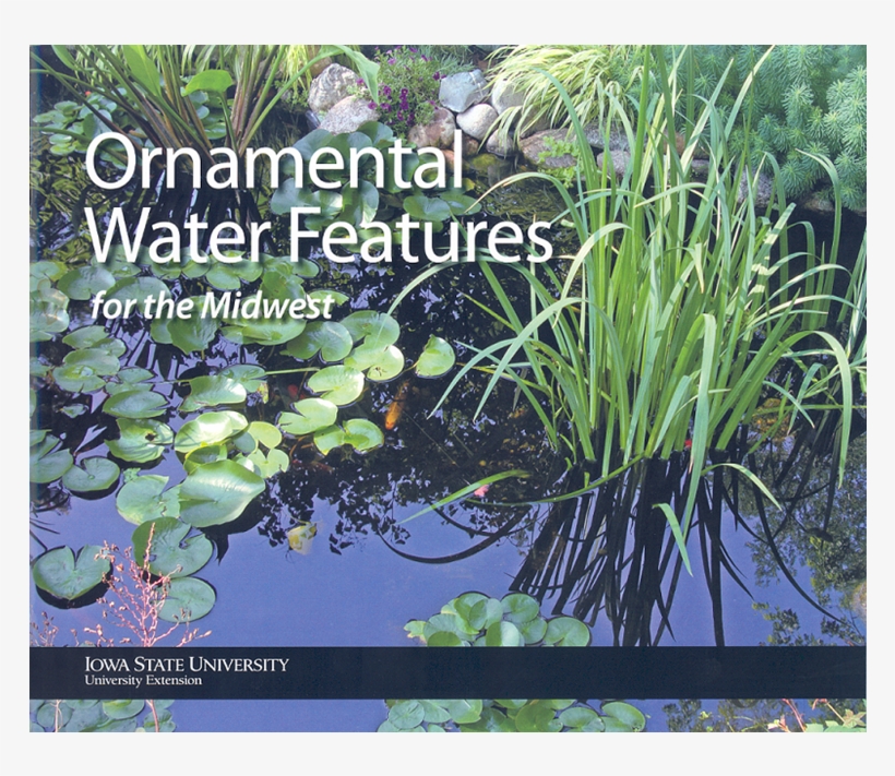 Fish Pond - 1200x630 PNG Download - PNGkit