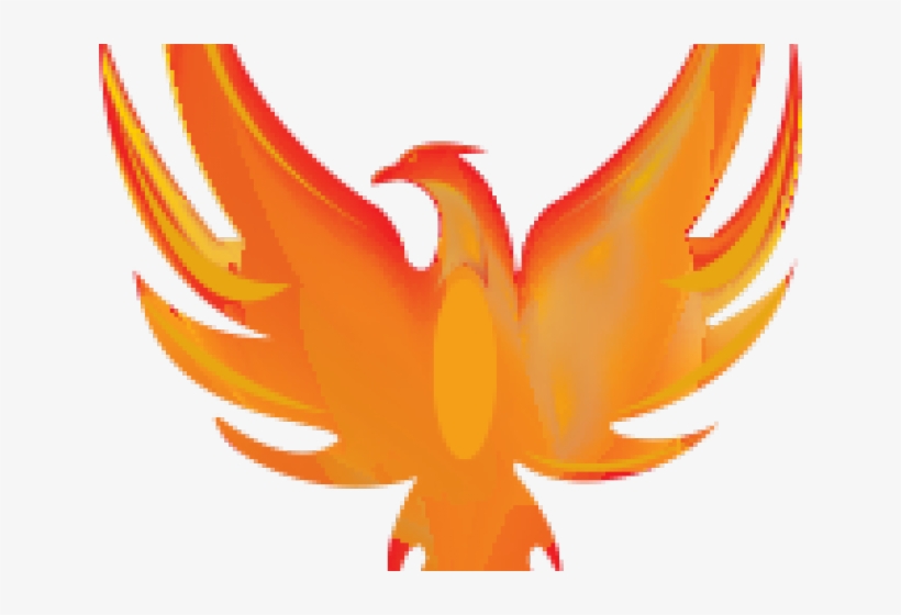 Phoenix Png Transparent Images - Phoenix - 640x480 PNG Download - PNGkit
