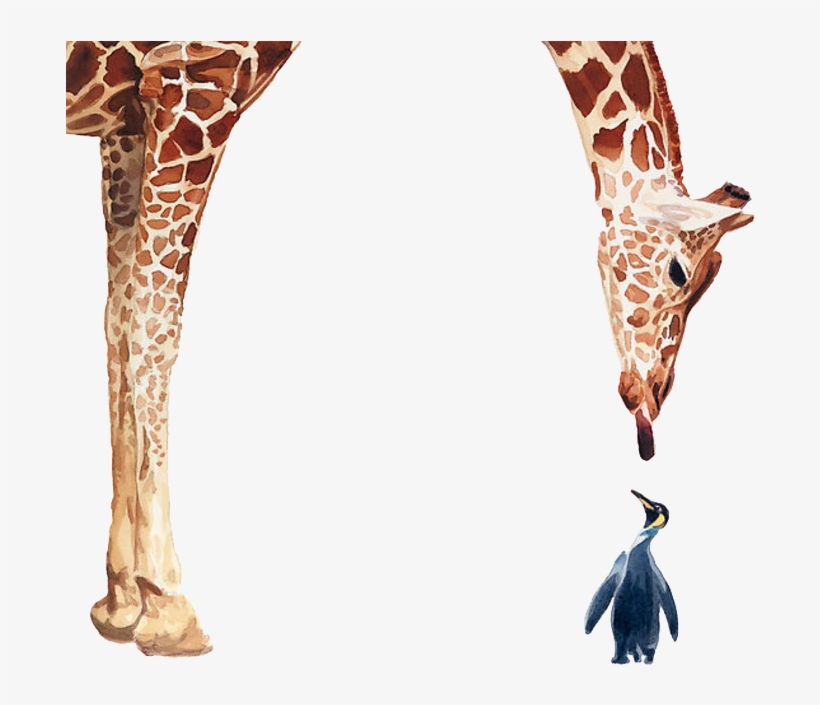 Penguin Giraffe Bird Poster Painting Giraffes And - Giraffe And Penguin ...