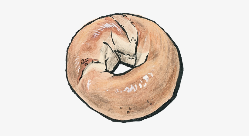 All Breads - Drawing Of Bagel - 400x377 PNG Download - PNGkit
