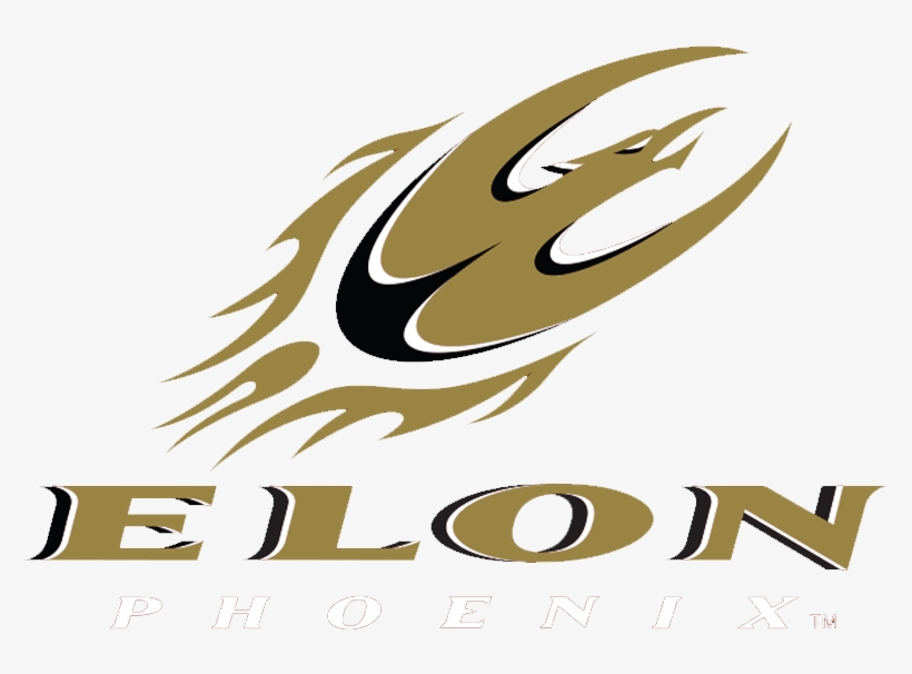 Elon Phoenix - 800x800 PNG Download - PNGkit