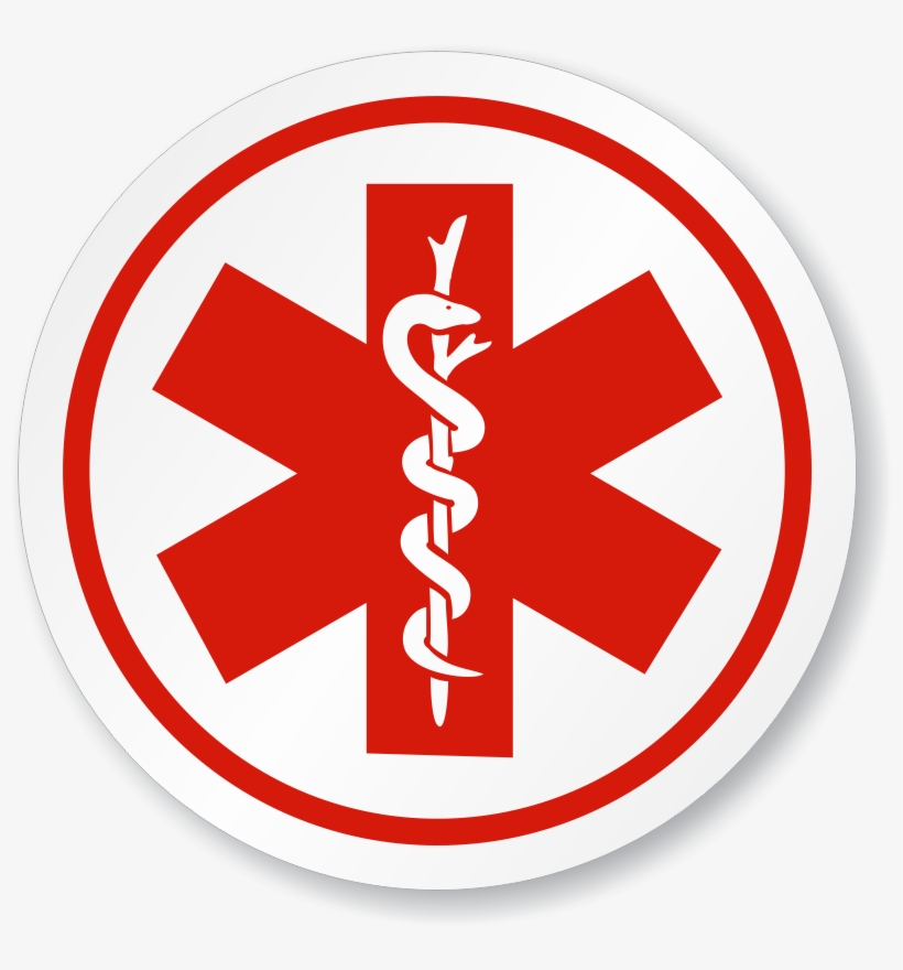 Emergency Response Team/star Of Life Symbol Iso Sign - Emergency ...