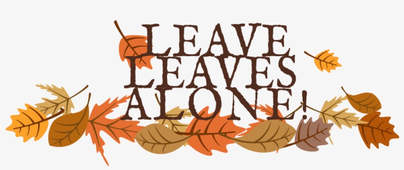 Download Transparent Leave Leaves Alone Logo - Logo - PNGkit