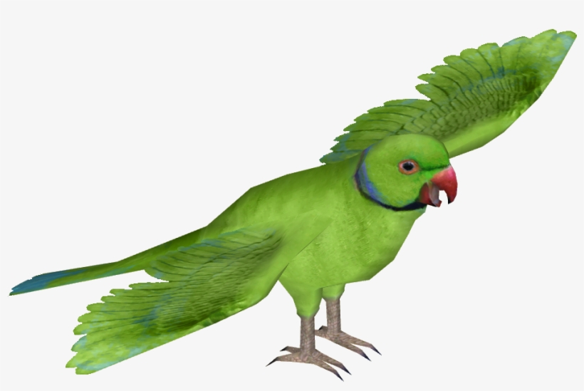 Echo Parakeet - Yellow Eared Parrot - 936x936 PNG Download - PNGkit