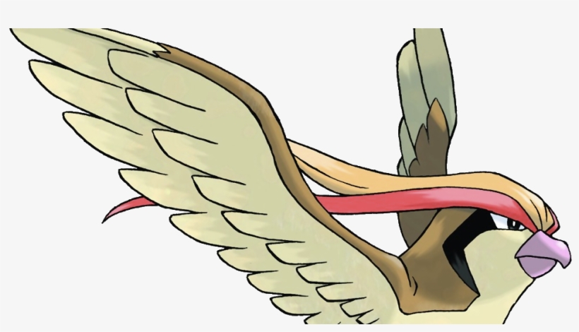 Sfetsos University-developed Research On Professional - Pokemon Pidgeot ...