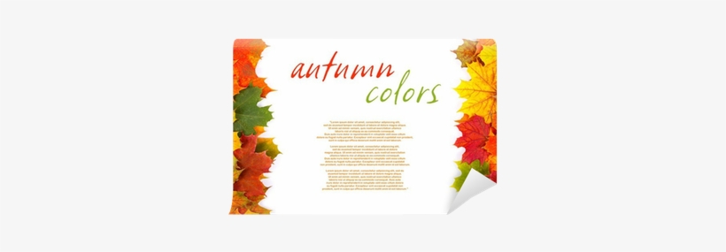 Colorful Fall Leaf Border - 400x400 PNG Download - PNGkit