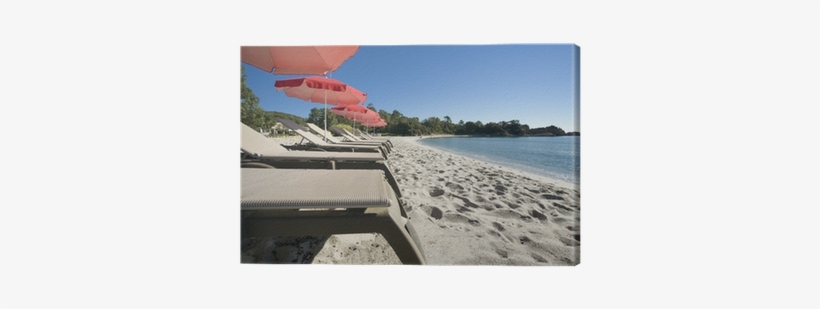 Photography - 400x400 PNG Download - PNGkit