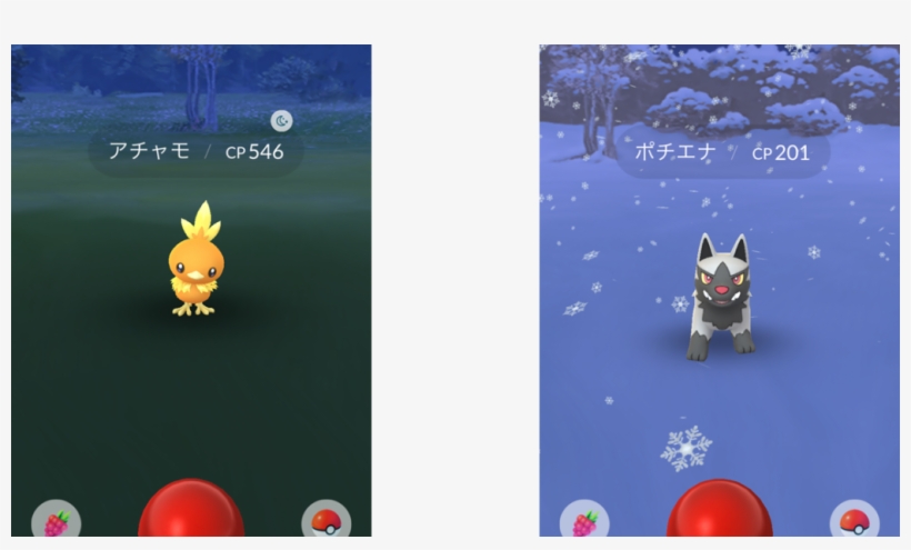 Torchic Evolution Levels