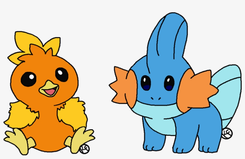 Mudkip And Torchic