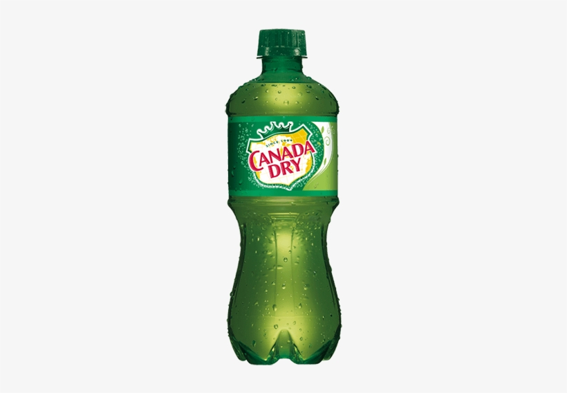 Canada Dry Ginger Ale 20 - Canada Dry Ginger Rail - 250x500 PNG ...