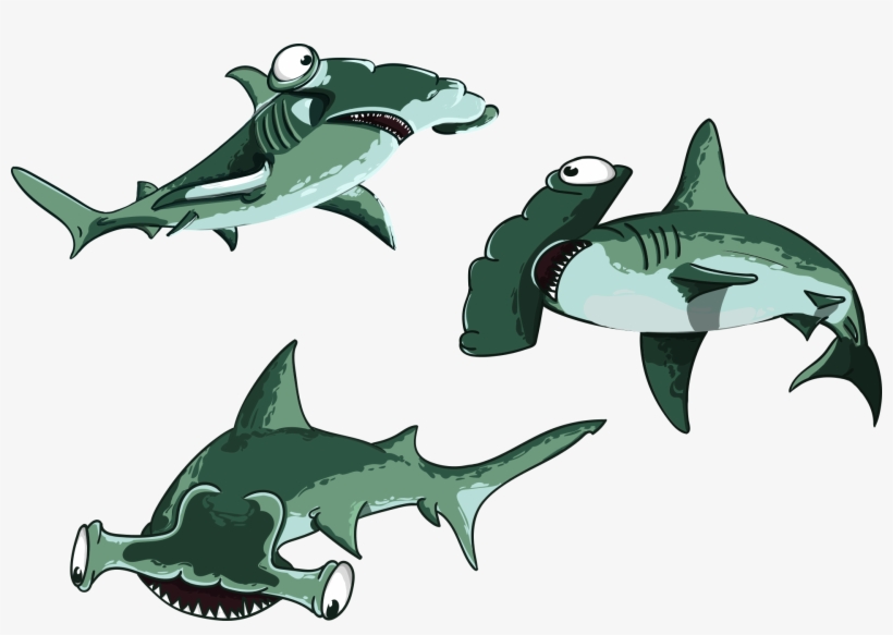 Shark, Fish, Hammer, Predator, Cartoon, Character - Cá Mập Đầu Búa Hoạt ...