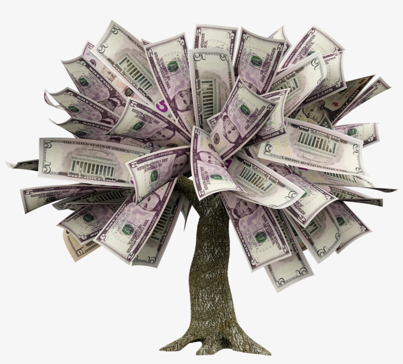 How To Grow A Money Tree - Money Tree Transparent - 1920x1643 PNG ...