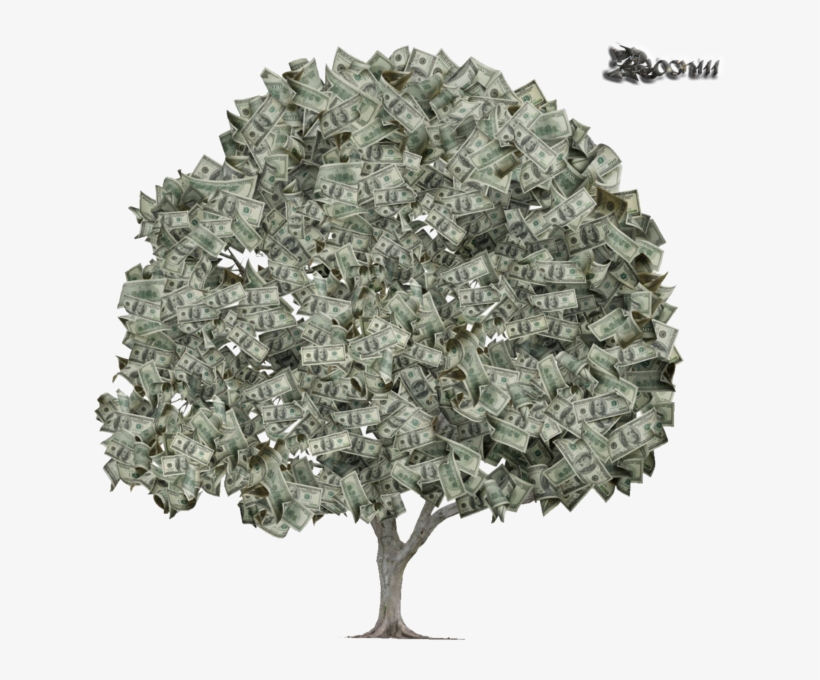 Share This Image - Money On Trees Meme - 631x600 PNG Download - PNGkit