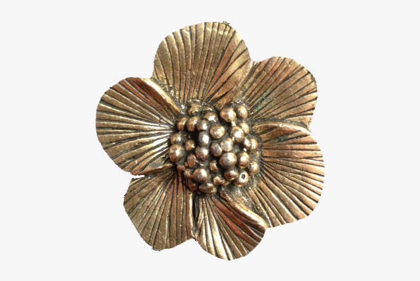 Download Transparent Brooch - PNGkit