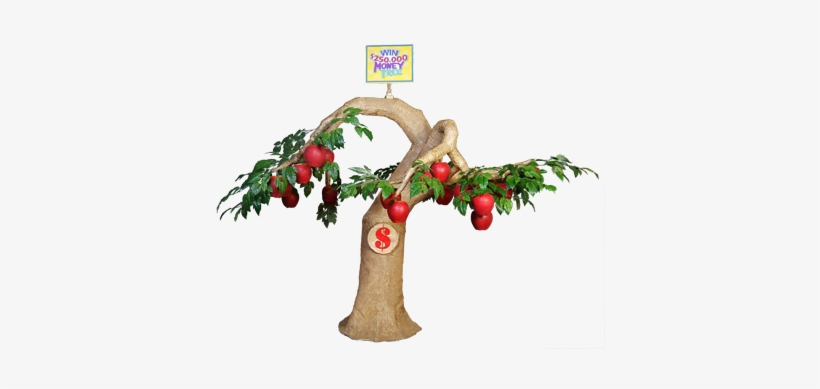 Money Tree Sweepstakes Promotion - Tree - 400x317 PNG Download - PNGkit