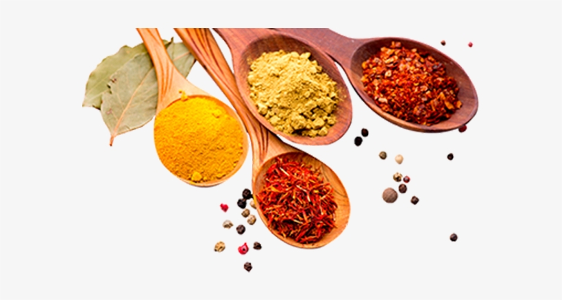 Reviewed By Paolo Tullio - Immune System Boosters: Build A Bulletproof ...