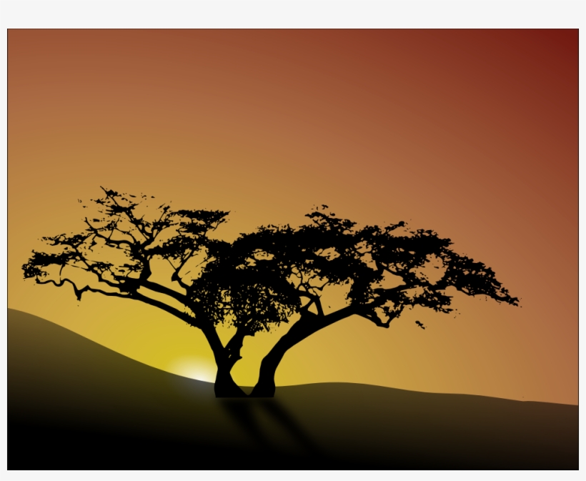 Tree Shadow - Shadow Drawing Of Tree - 990x765 PNG Download - PNGkit
