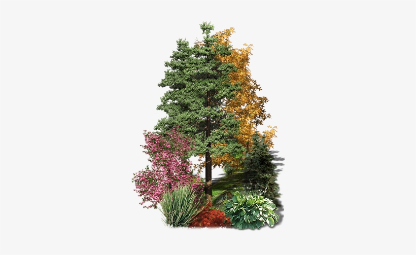 Add - Bomen Psp Tubes - 339x450 PNG Download - PNGkit