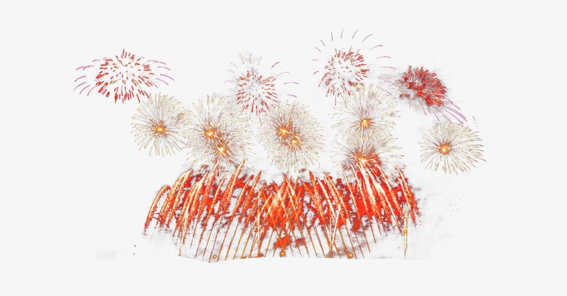 Firework Explosions Transparent Image Royalty Free - Dandelion ...