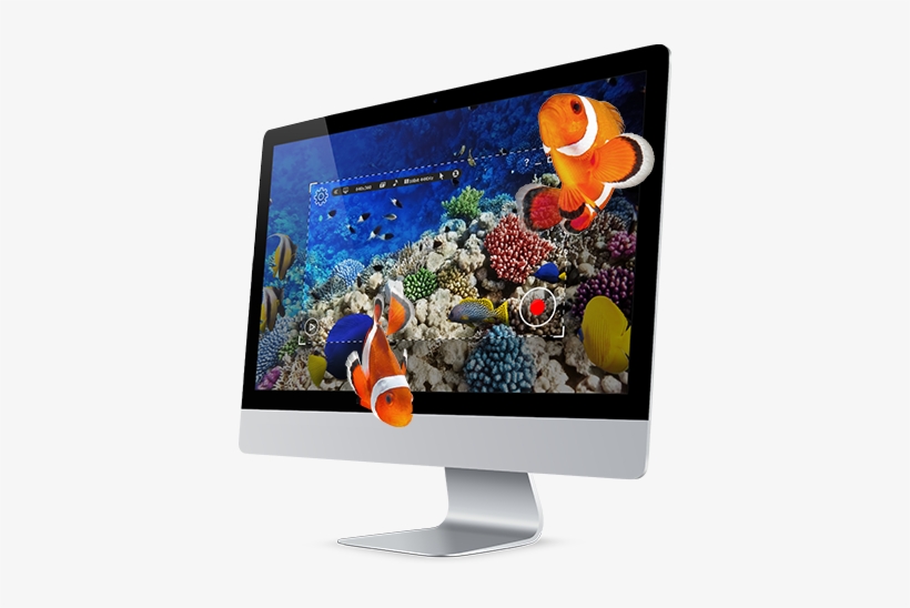 Ocean Fish Screen Saver - Computer Images Hd Png - 390x468 PNG Download ...