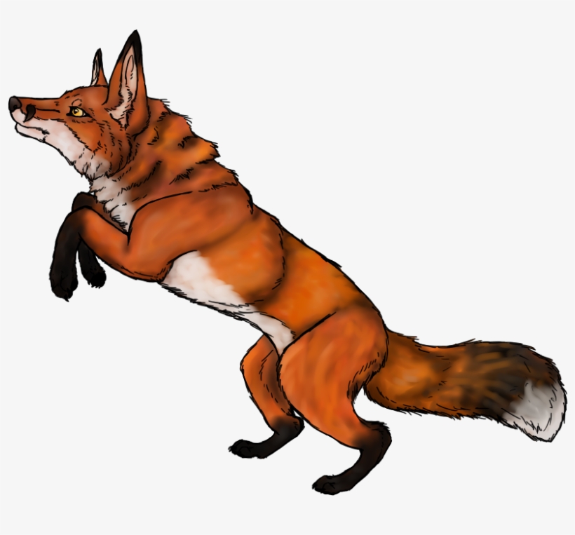 Red Fox By Isnowonash On Clipart Library - Openclipart - 840x704 PNG Download - PNGkit
