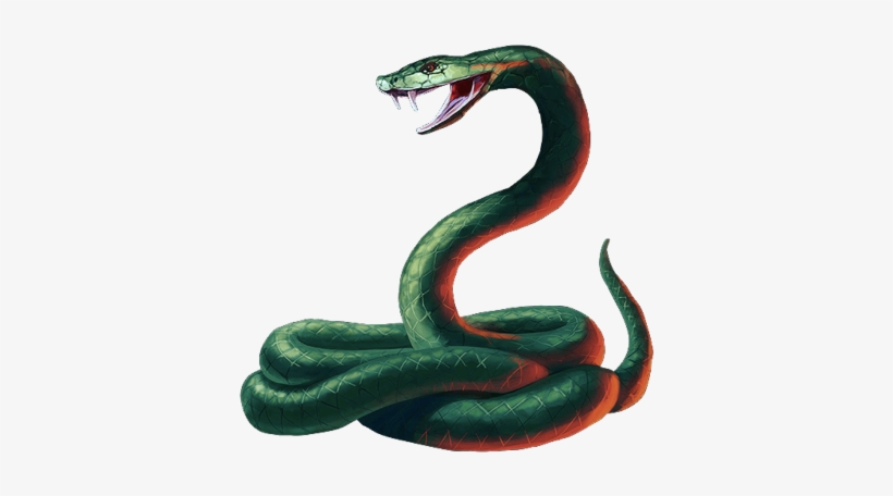 Snake Transparent - 480x480 PNG Download - PNGkit