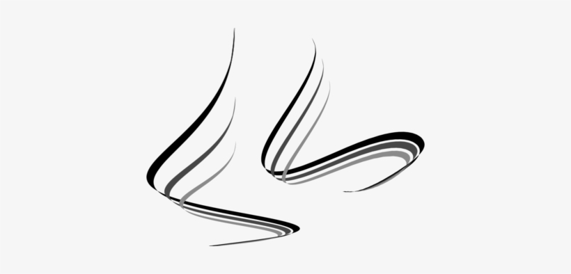 Curved Lines Psd - White Curvy Lines Png - 400x314 PNG Download - PNGkit