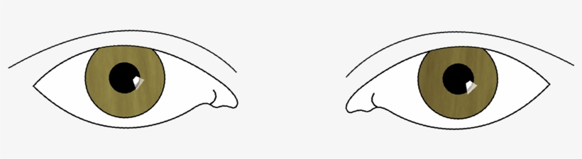 Two Eyed Seeing - Two Eyes - 817x201 PNG Download - PNGkit