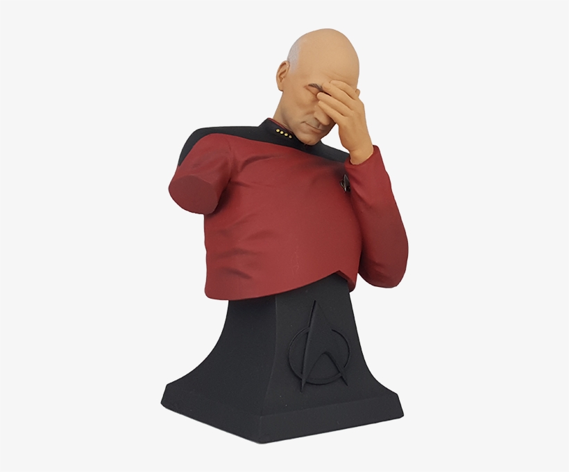 Star Trek The Next Generation Captain Picard Facepalm - Star Trek: The ...