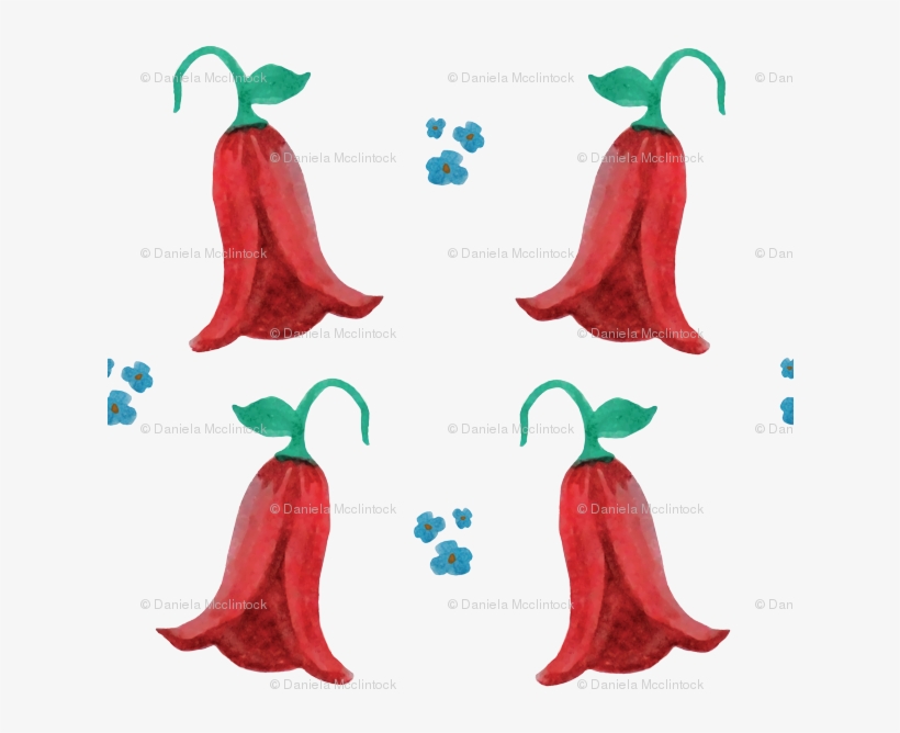 Chile National Flower