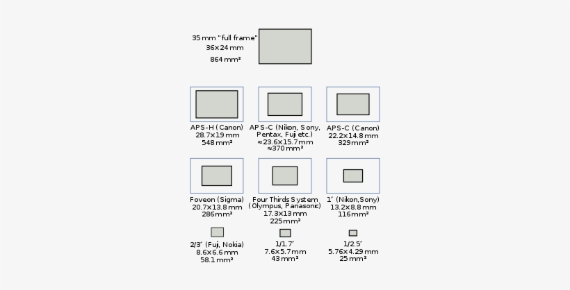 Full-frame Digital Slr - Live Mos Sensor Size - 300x420 PNG Download ...