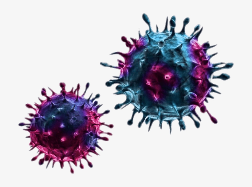 Blue And Purple Viruses - Integrated Study Of Viral Genomes [book ...