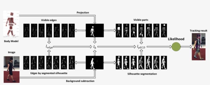 The Silhouette Is Roughly Segmented Into Body Parts - Monochrome ...