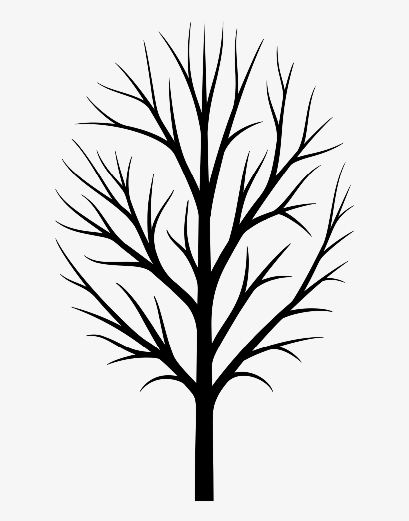 Skinny Tree Silhouette - Bare Tree Clipart - 641x1000 PNG Download - PNGkit