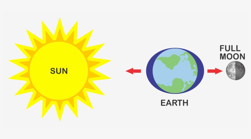 Spring Tide Explained - Solar Control Glass Detail - 800x376 PNG ...