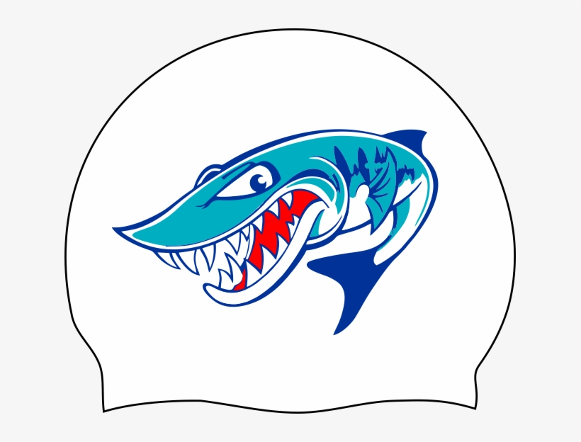 Barracuda Logo Png
